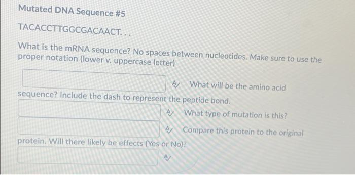 Solved original DNA sequence T A C A C C T T G G C | Chegg.com