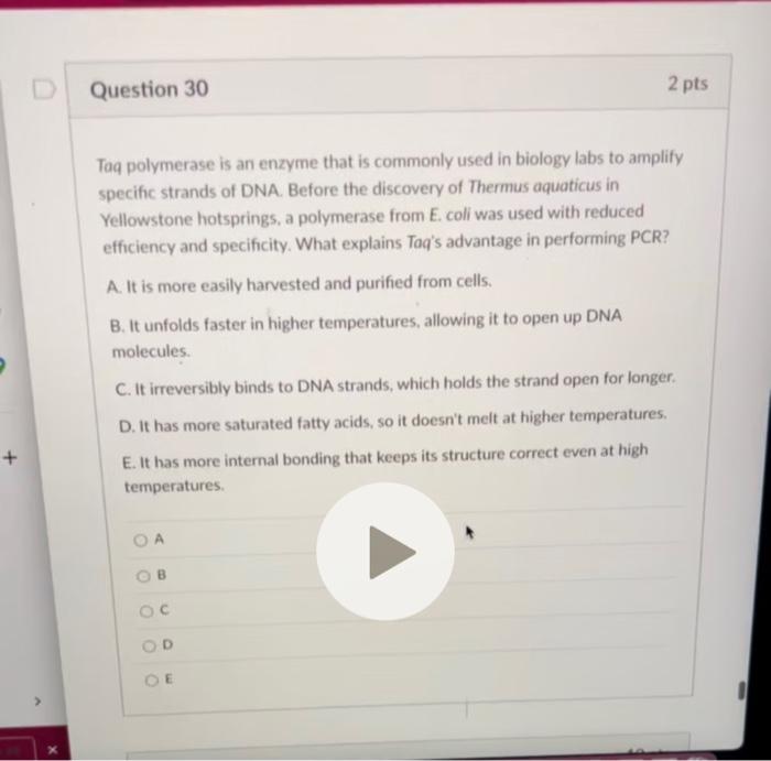 Toq polymerase is an enzyme that is commonly used in | Chegg.com