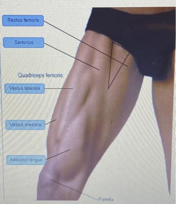 I only got 1 right, need help correcting | Chegg.com