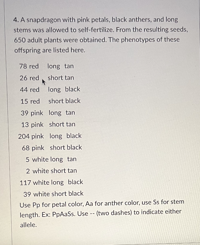 Solved A snapdragon with pink petals, black anthers, and | Chegg.com