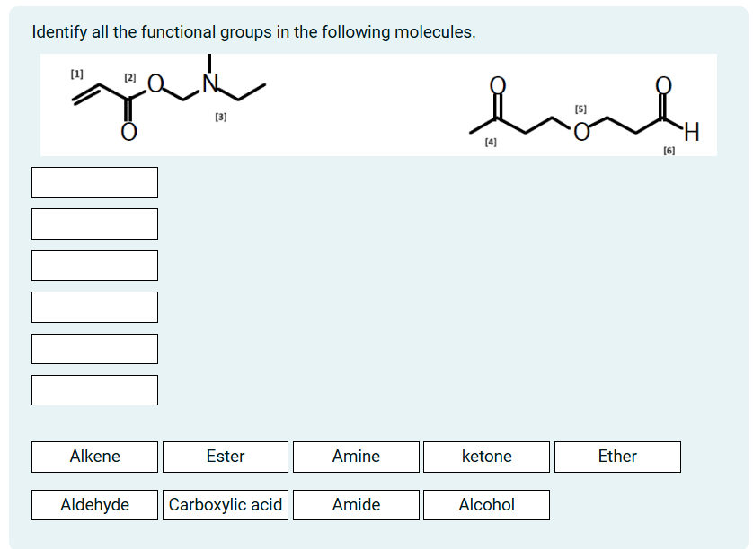 Identify all the functional groups in the following | Chegg.com