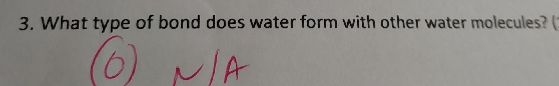 Solved 3. What type of bond does water form with other water | Chegg.com