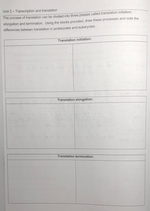 Solved Unit 2- Transcription and translation The process of | Chegg.com
