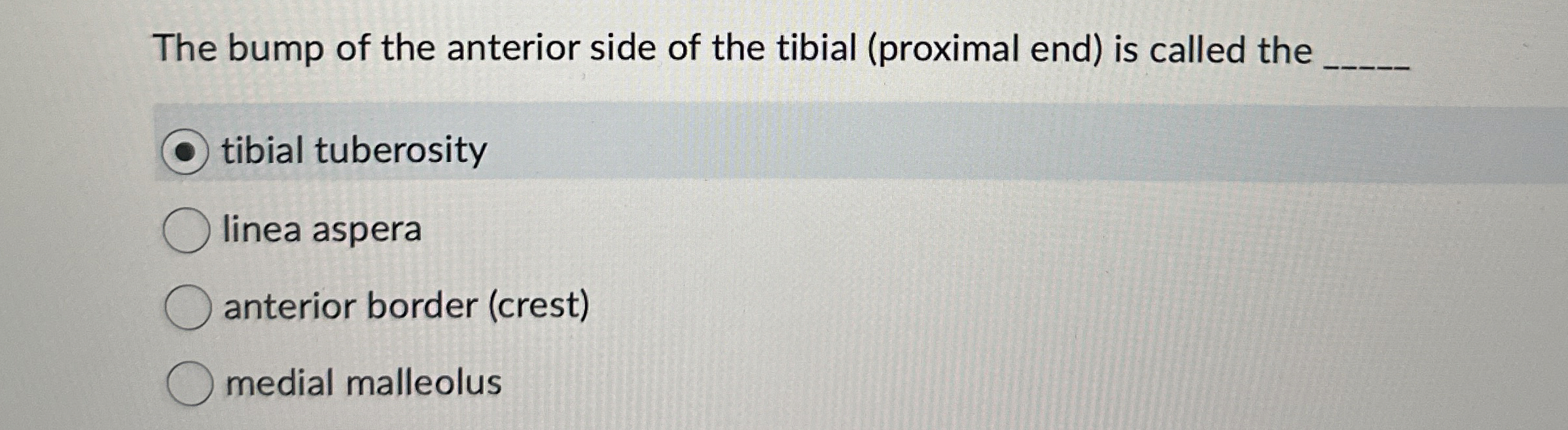 Solved The bump of the anterior side of the tibial (proximal | Chegg.com