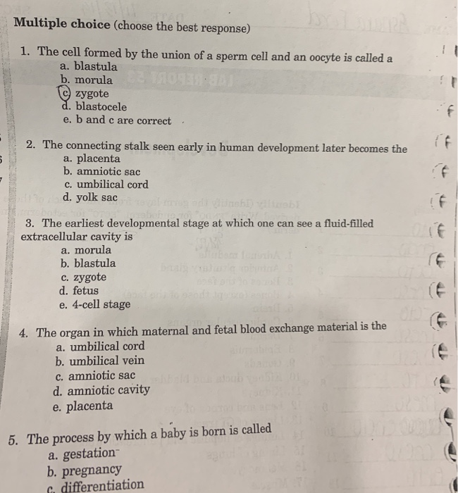 Solved Multiple choice (choose the best response) 1. The | Chegg.com