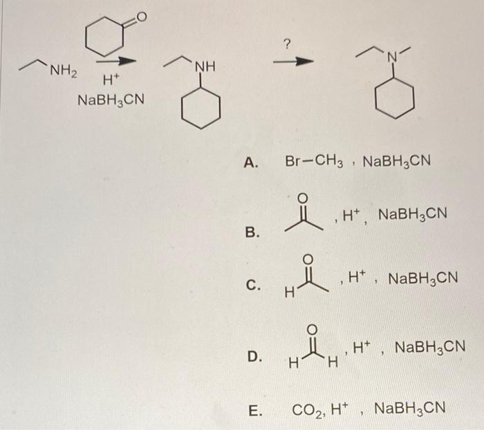Solved ? N NH2 NH H NaBH3CN A. Br-CH3 · NaBH3CN , H, NaBH3CN | Chegg.com
