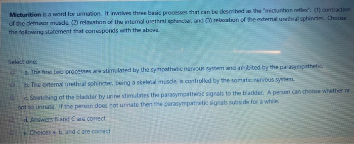 Solved Micturition is a word for urination. It involves | Chegg.com