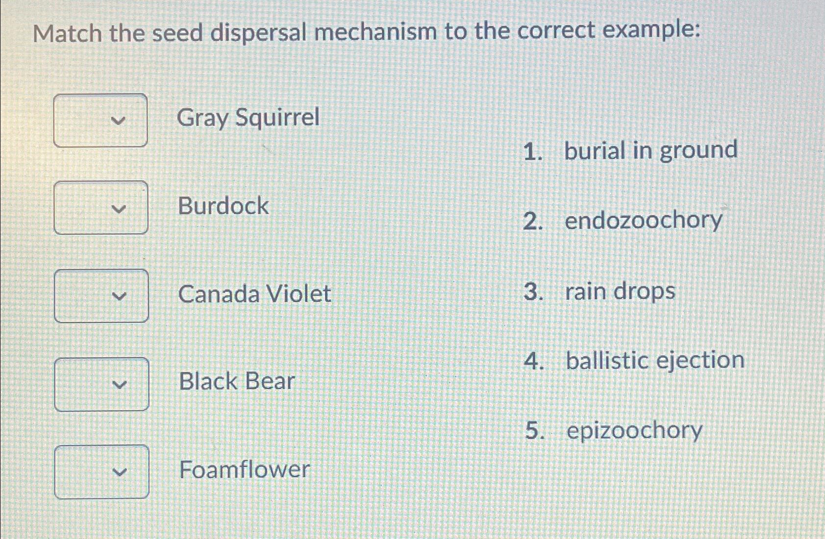 Solved Match the seed dispersal mechanism to the correct | Chegg.com