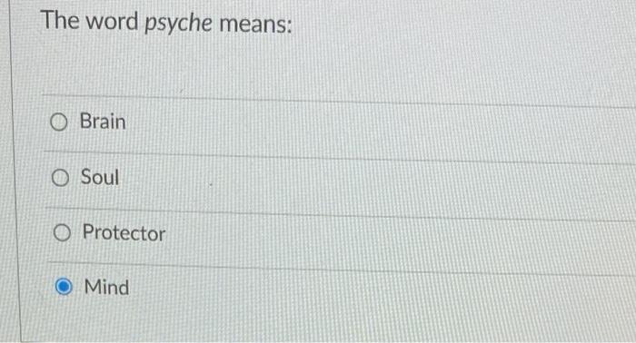 Solved The word psyche means: O Brain O Soul O Protector O | Chegg.com