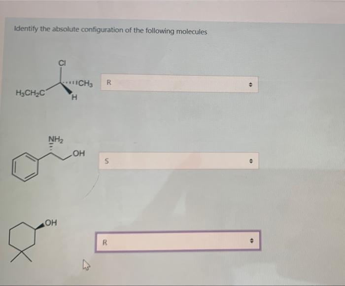 Solved Identify the absolute configuration of the following | Chegg.com
