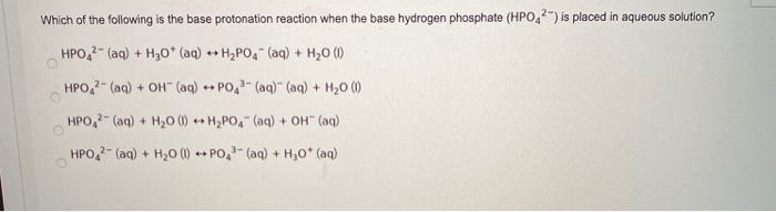 Solved Which of the following is the base protonation | Chegg.com