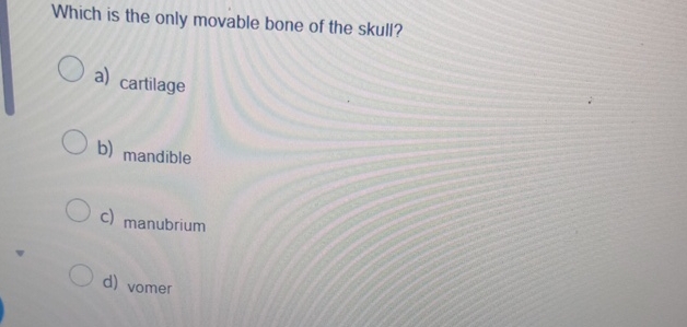 Solved Which is the only movable bone of the skull? ﻿a) | Chegg.com