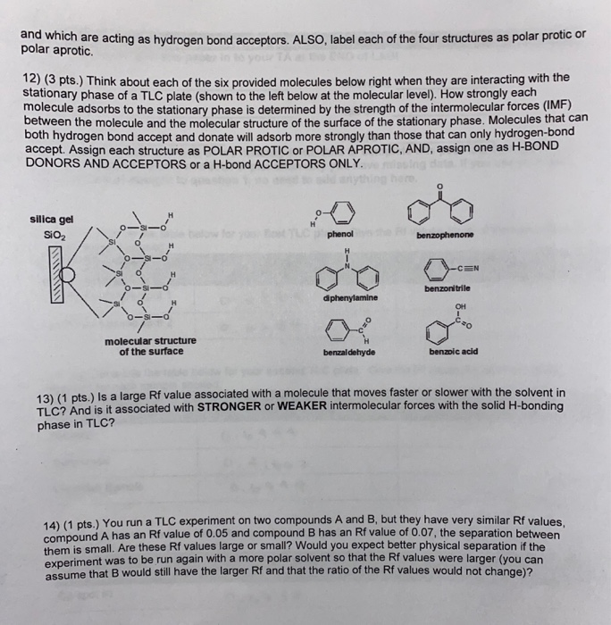 Solved and which are acting as hydrogen bond acceptors. | Chegg.com