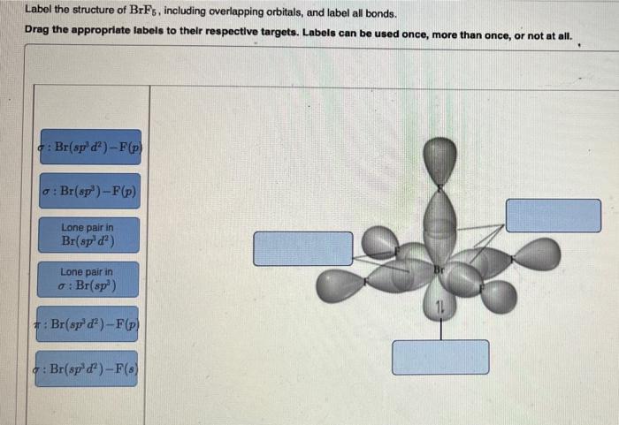 Solved Label the structure of BrFs, including overlapping | Chegg.com