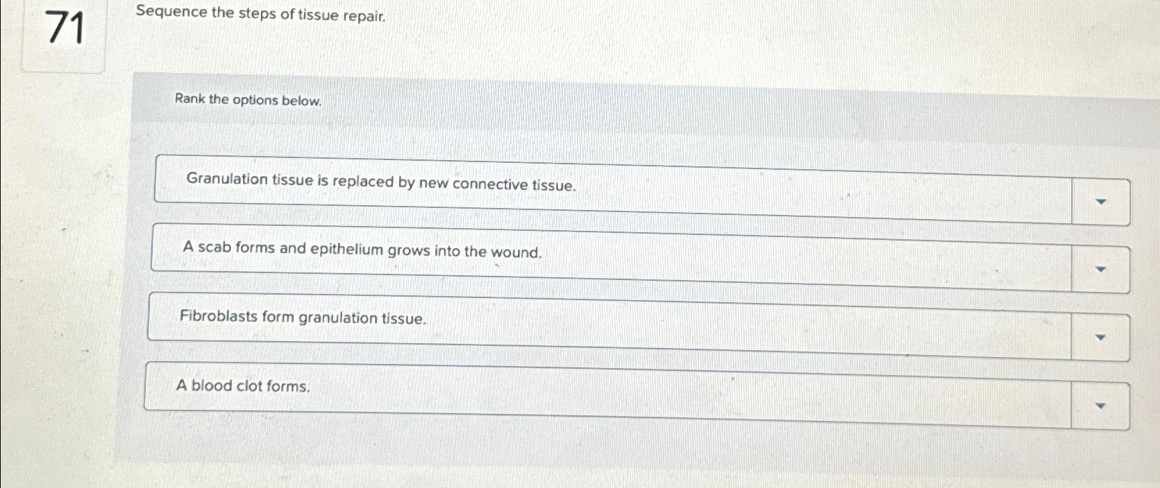 Solved 71Sequence the steps of tissue repair.Rank the | Chegg.com Solved 71Sequence the steps of tissue repair.Rank the | Chegg.com