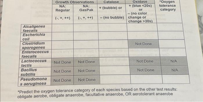 Solved Alcaligenes faecalis Escherichia coli Clostridium | Chegg.com