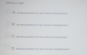 Solved Efficiency wagesA) ﻿increase productivity and reduce | Chegg.com