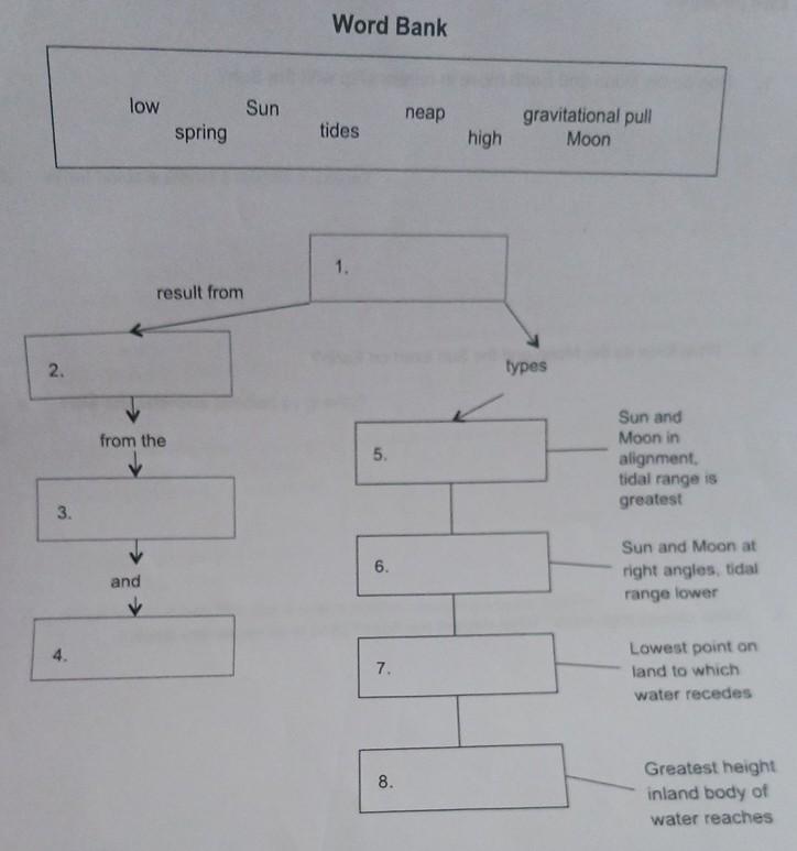 Solved Word | Chegg.com