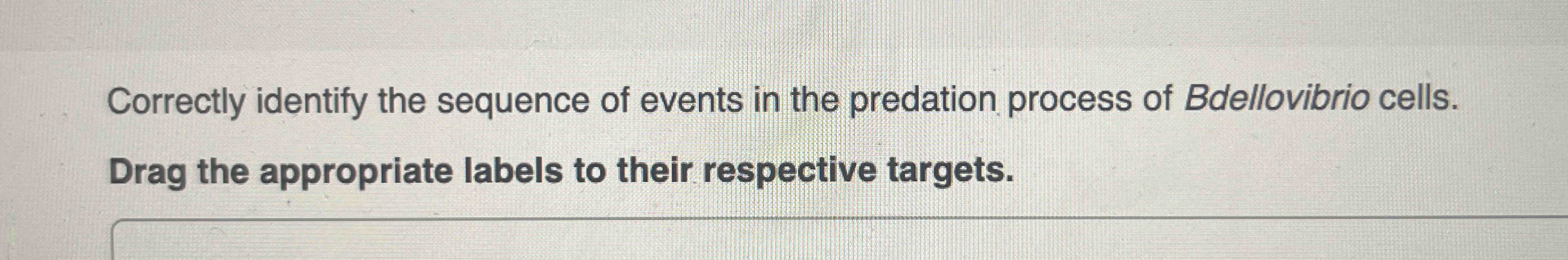 Solved Correctly identify the sequence of events in the | Chegg.com
