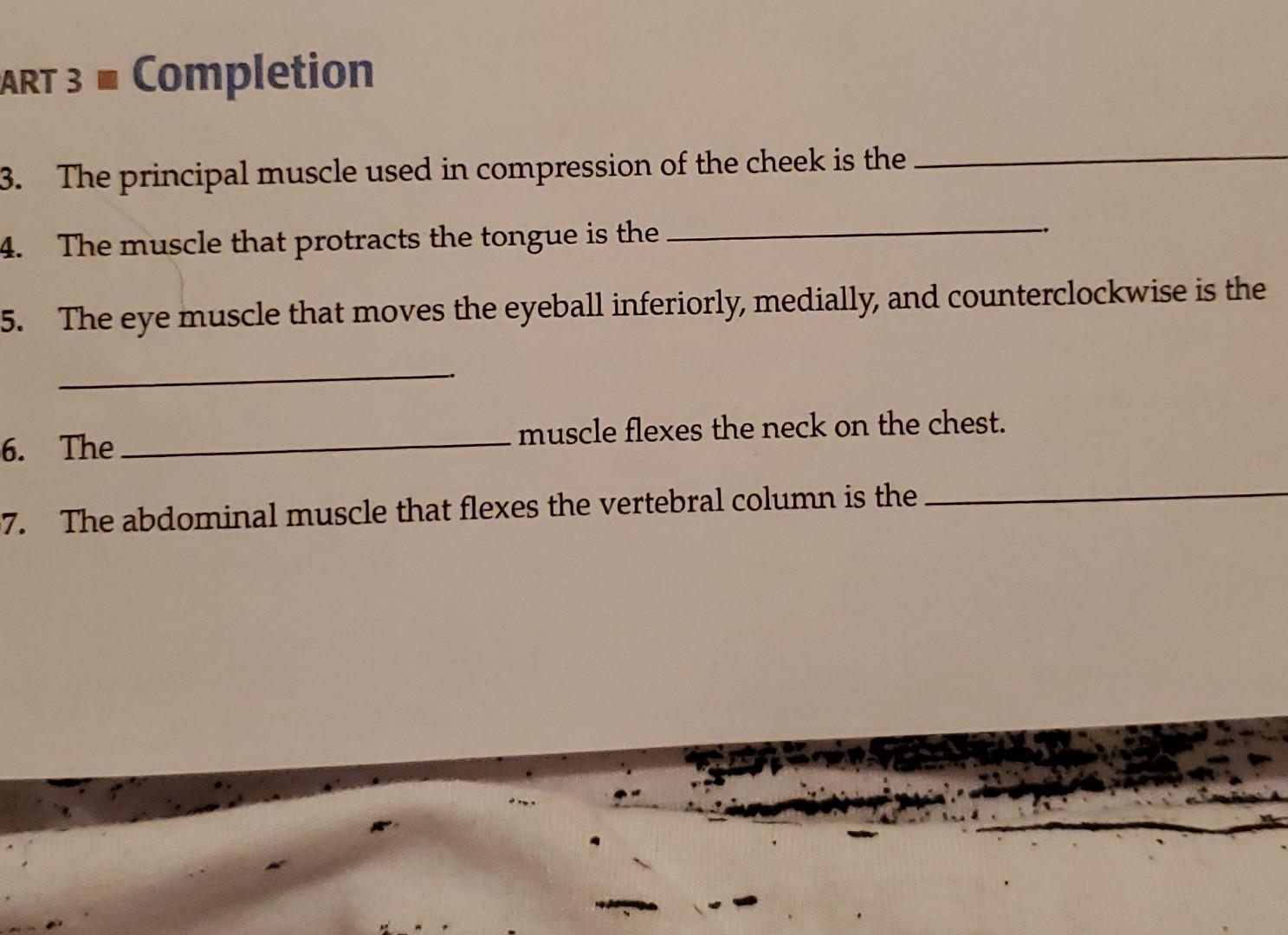 Solved ART 3 - Completion 3. The principal muscle used in | Chegg.com