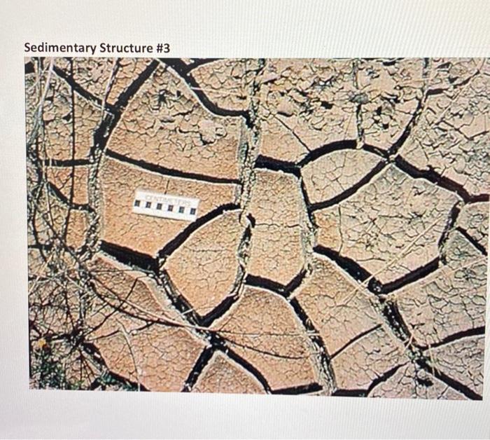 Solved Sedimentary Structure \#1 Sedimentary Structure | Chegg.com