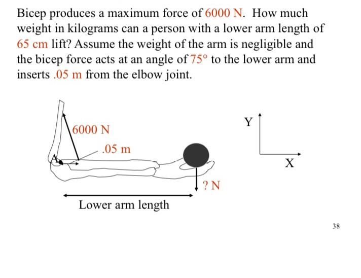 Solved Bicep produces a maximum force of 6000 ﻿N. ﻿How much | Chegg.com