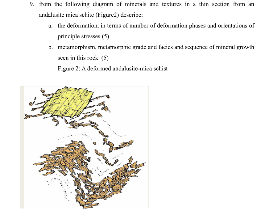 Solved explain this in terms of metamorphic rocks from the | Chegg.com