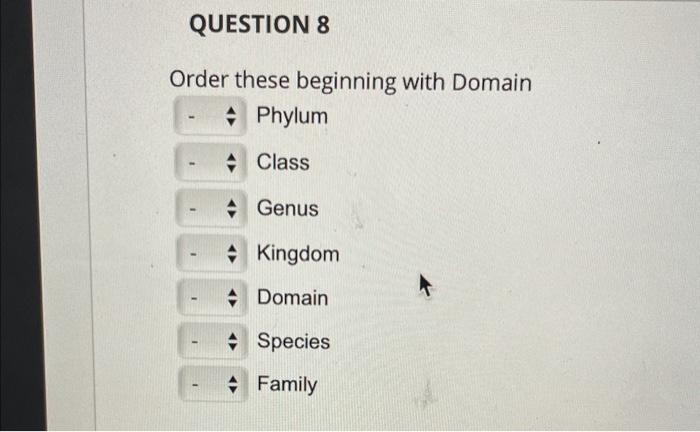 Solved Order these beginning with Domain Phylum Class Genus | Chegg.com