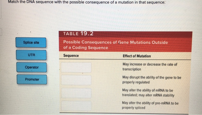 Solved Match the DNA sequence with the possible consequence | Chegg.com