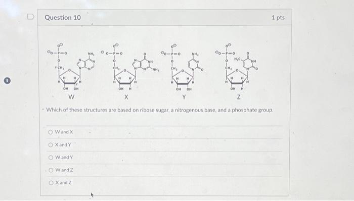 Solved Which Of These Structures Are Based On Ribose
