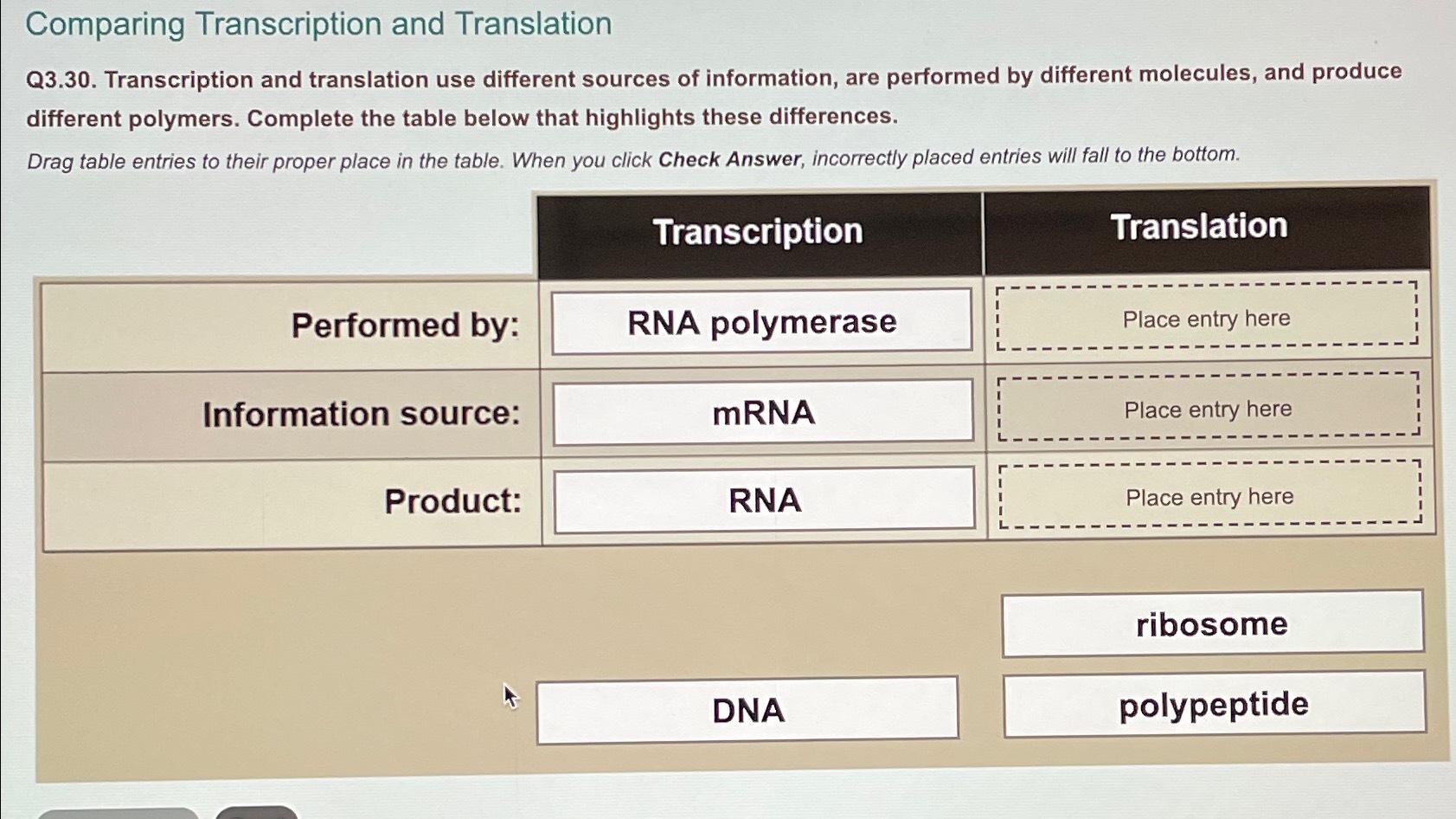 Comparing Transcription and TranslationQ3.30. | Chegg.com