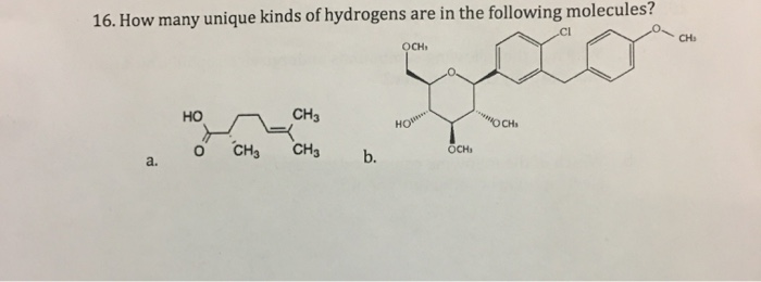 Solved 16. How many unique kinds of hydrogens are in the | Chegg.com