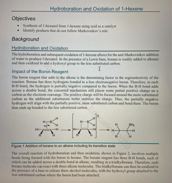 Solved Data And Report Submission - Hydroboration (2pts) | Chegg.com
