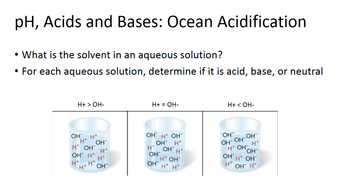 Solved pH, ﻿Acids and Bases: Ocean Acidification- ﻿What is | Chegg.com
