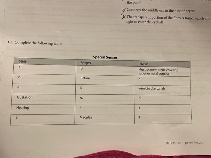 Solved QUESTIONS 1-12: Match the structure in column A with | Chegg.com