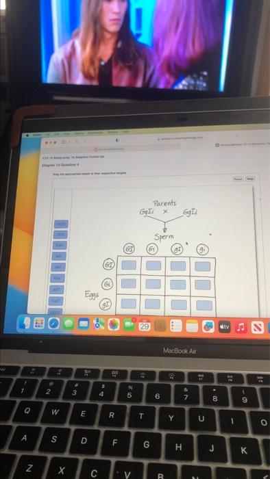 Solved PSC ! 1 Q A F1 Safari N File Sun GLO ... Edit View 2 | Chegg.com