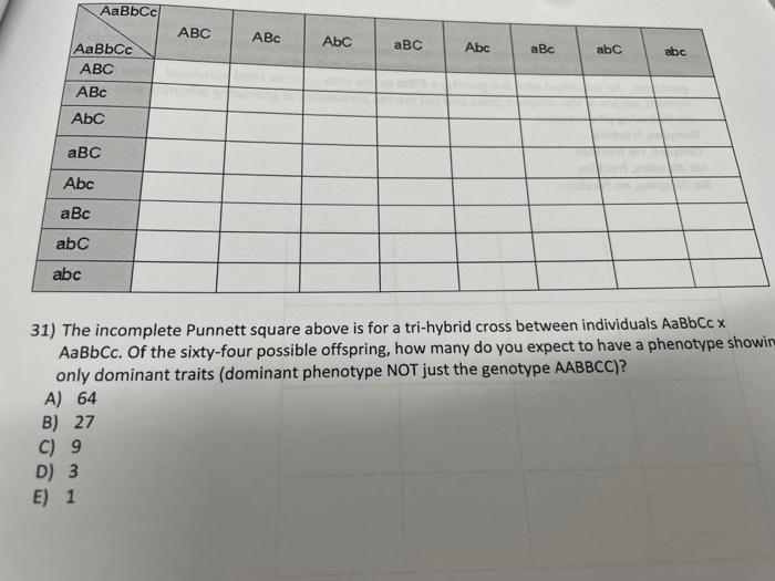 Solved AaBbcc ABC ABC Abc авс Abc авс abc abc AaBbcc ABC ABC | Chegg.com