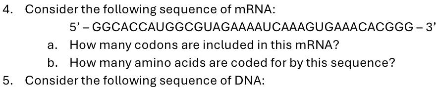 Solved Consider the following sequence of mRNA:5' - | Chegg.com