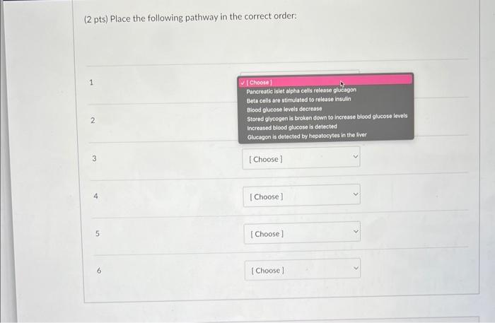 Solved (2 pts) Place the following pathway in the correct | Chegg.com