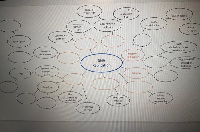 Solved Need help to fill up the boxes of DNA replication | Chegg.com