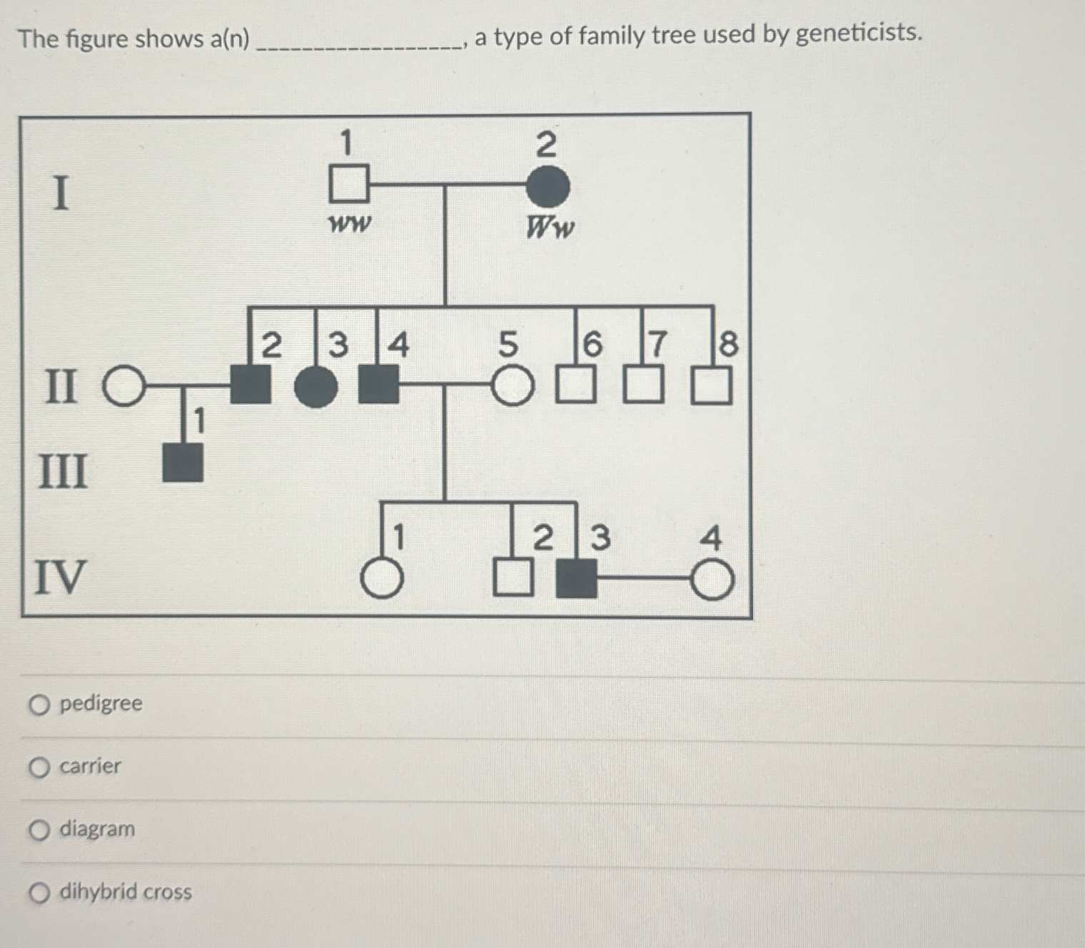 Solved The figure shows a(n). , ﻿a type of family tree used | Chegg.com