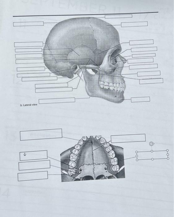 label each structure | Chegg.com