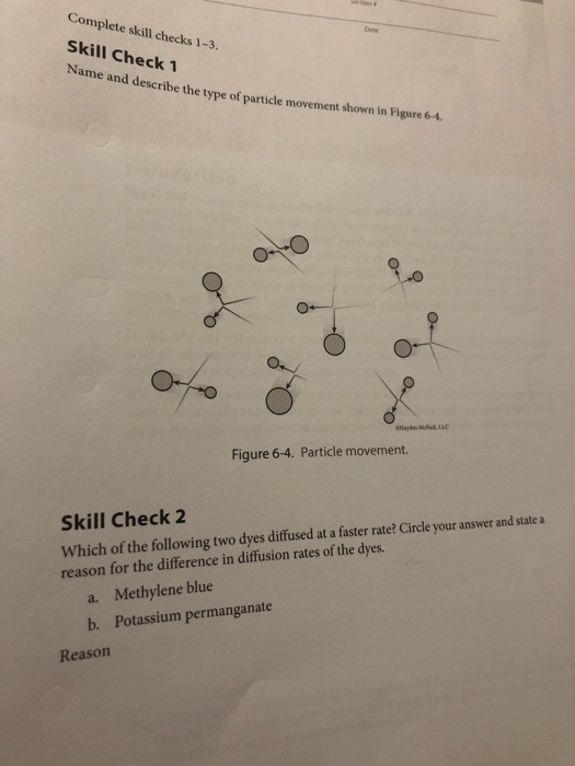 Solved Complete skill checks 1-3. Skill Check 1 wame and | Chegg.com