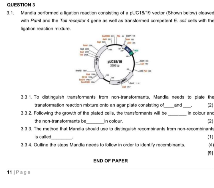 Solved Please give the answers according the numbering on | Chegg.com