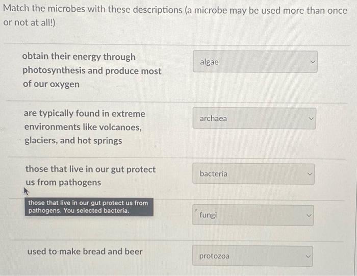 Solved Match the microbes with these descriptions (a microbe | Chegg.com