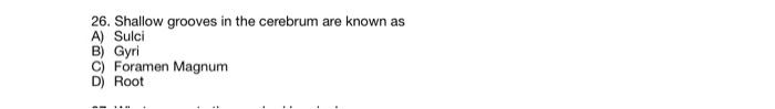 Solved 26. Shallow grooves in the cerebrum are known as A) | Chegg.com