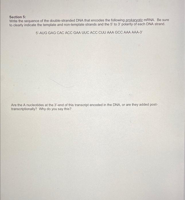 Solved Section 5: Write the sequence of the double-stranded | Chegg.com