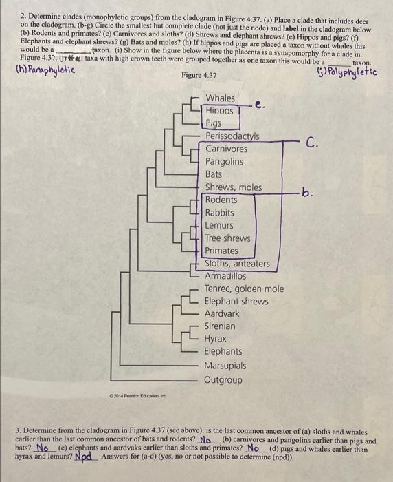 Can some one explain how to solve questions 2 and 3? | Chegg.com