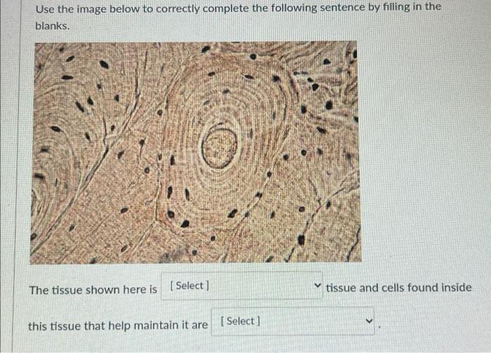 Solved Use the image below to correctly complete the | Chegg.com