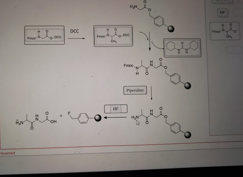 Solved The Merrineld synthesis of a peptide simplifies | Chegg.com